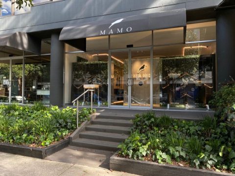 MAMO Showroom - Gallaria